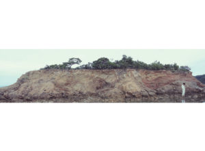 Design | Bee Design Works株式会社